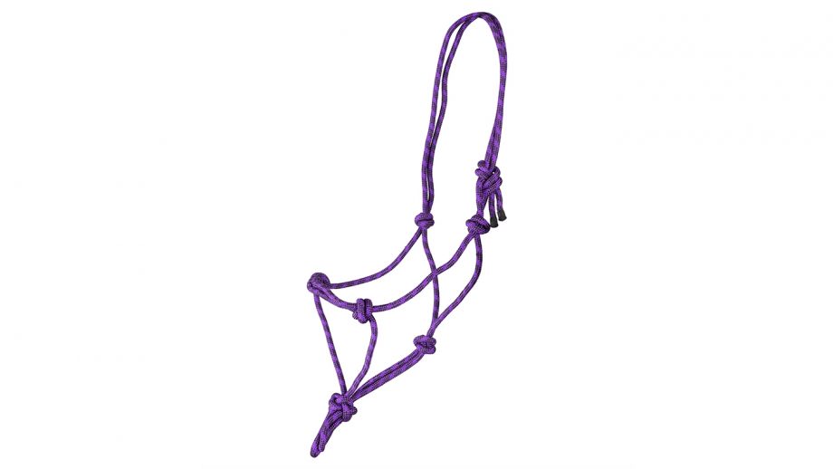 Best rope halters for better control and more precise aids | Horse & Hound