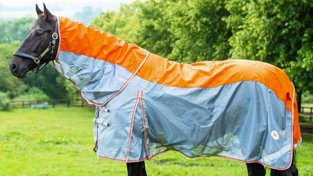 Best waterproof fly rugs for horses | Horse & Hound