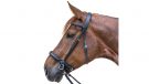 Best bitless bridles for starting your bitless journey | Horse & Hound