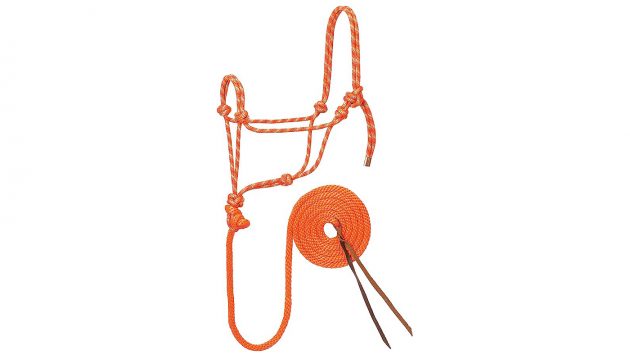 Best rope halters for better control and more precise aids | Horse & Hound