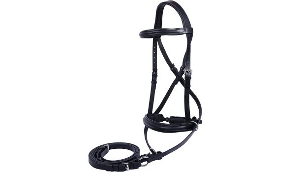 Best bitless bridles for starting your bitless journey | Horse & Hound