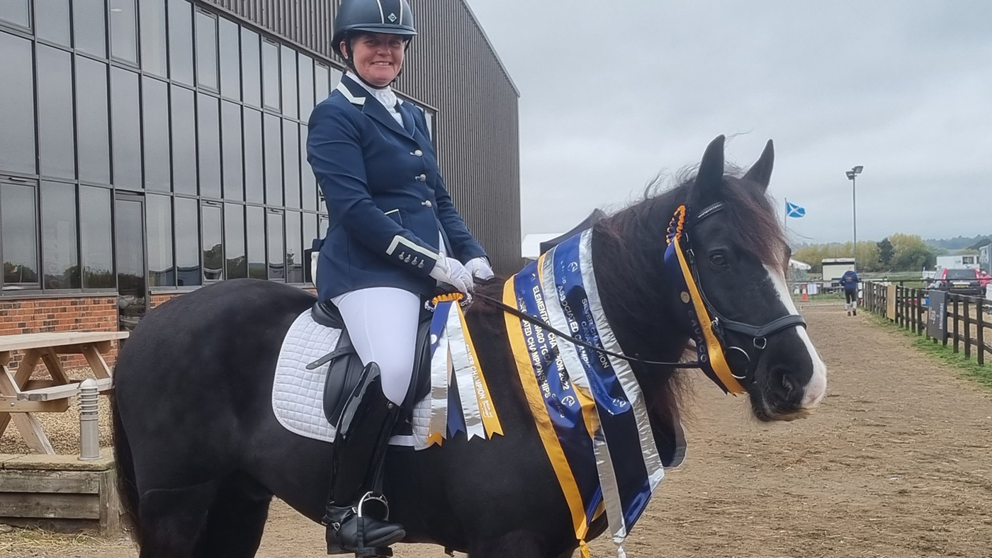 Winter Dressage Championships: The traditional cob heading to Hartpury
