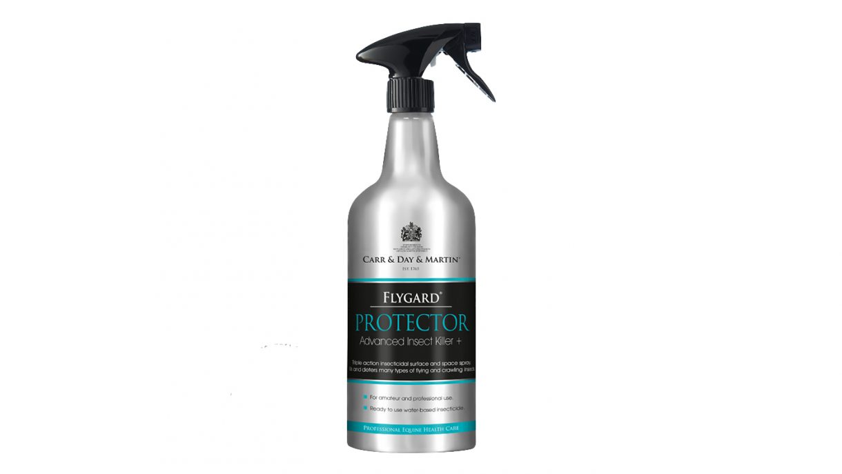 Best fly sprays for horses that we’ve tested and actually work