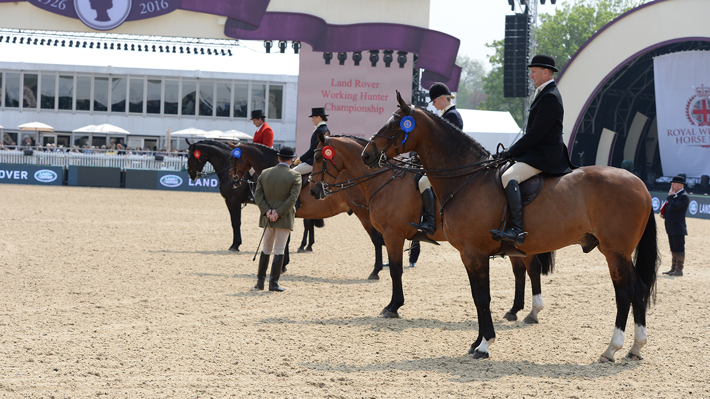Anna Levy is judging the working hunters at Royal Windsor 2023