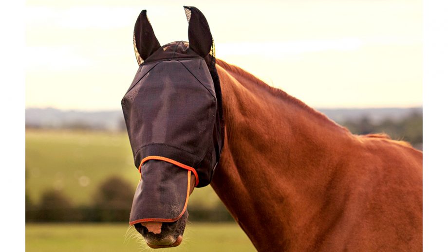 Best fly masks for horses in a range of designs | Horse & Hound
