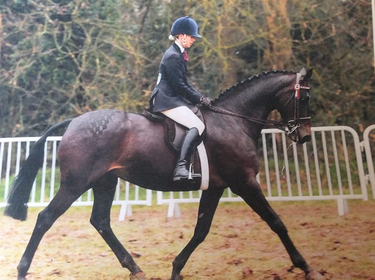 Forgeland Hyde Park's dam Fernhill Park has died - Horse & Hound