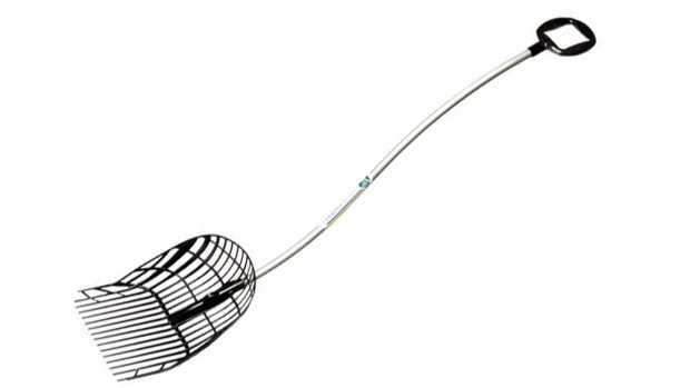 Best shavings forks for mucking out and yard use | Horse & Hound