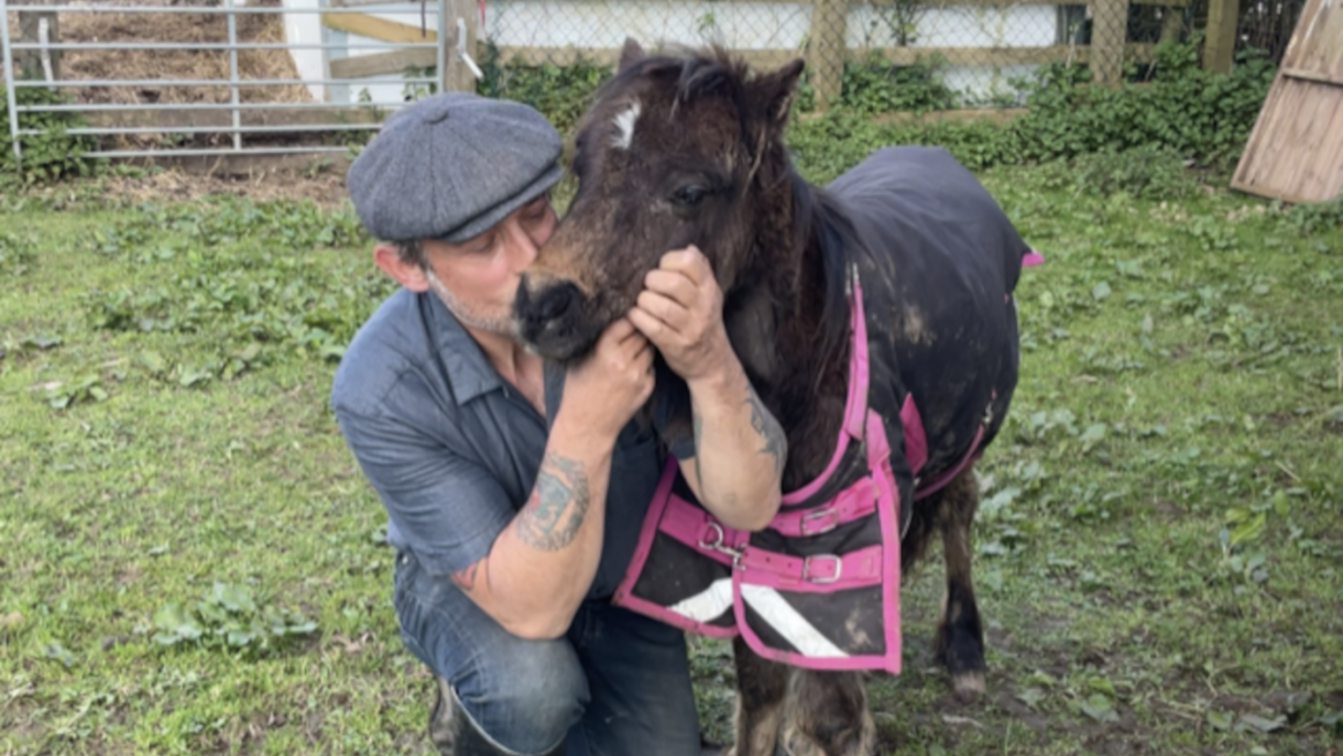 Man who was living in his car offered home and job after helping ...