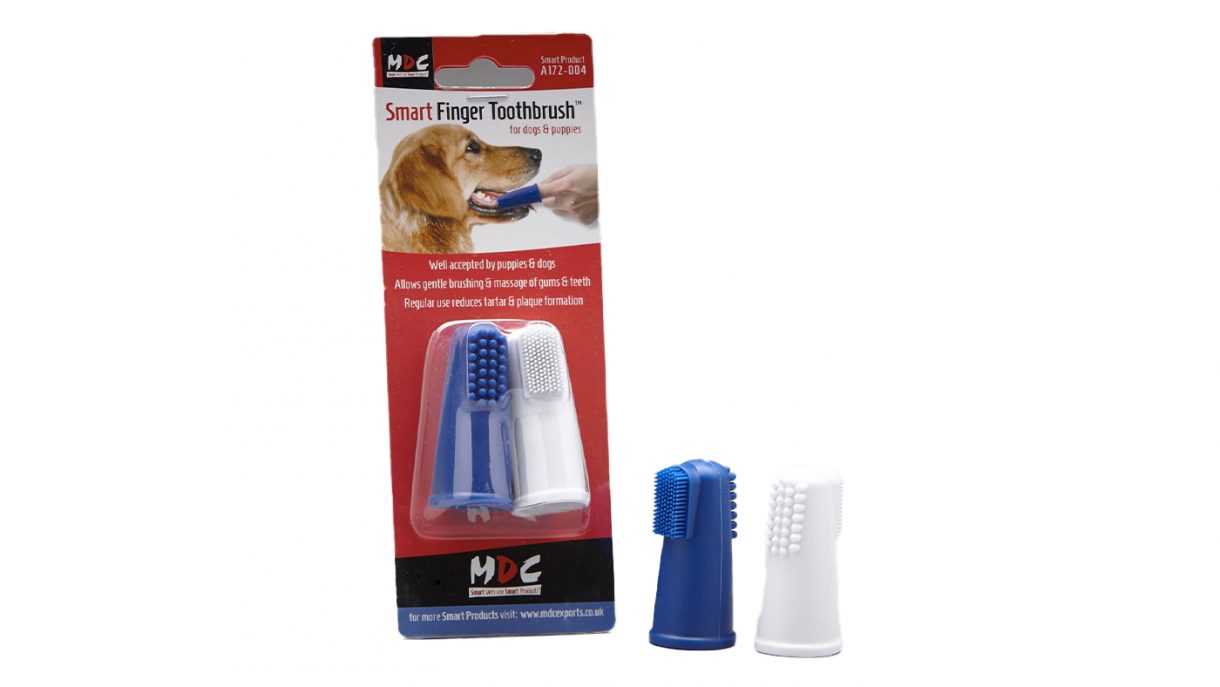 Best toothbrush for dogs to support daily oral hygiene