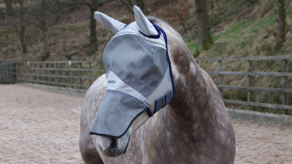 Best fly masks for horses in a range of designs | Horse & Hound