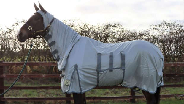 Best fly rugs for horses: find the best protection | Horse & Hound