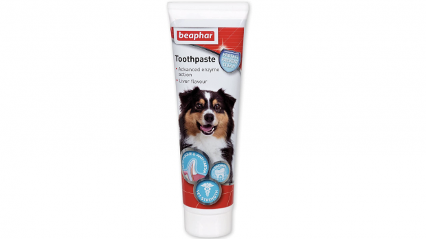 Best toothpastes for dogs to prevent tooth and gum disease