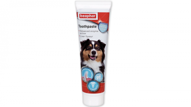 Best toothpastes for dogs to prevent tooth and gum disease