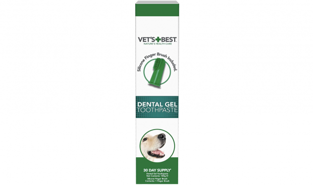 Best toothpastes for dogs to prevent tooth and gum disease