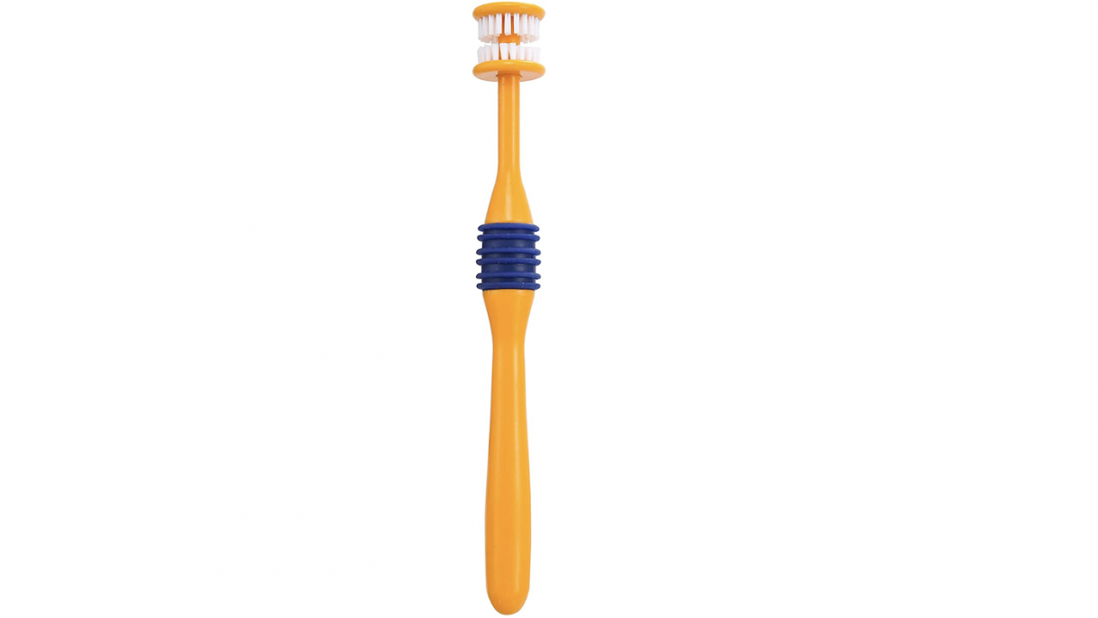 Best toothbrush for dogs to support daily oral hygiene