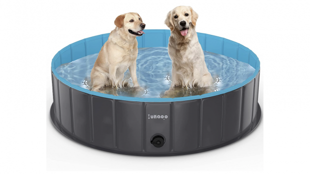 Best dog paddling pool to have fun and stay cool