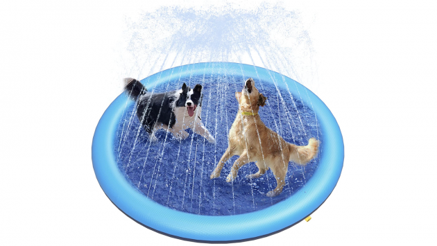 Best dog paddling pool to have fun and stay cool