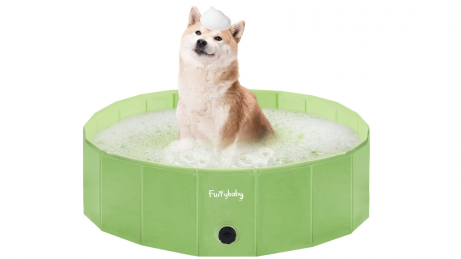 Best dog paddling pool to have fun and stay cool