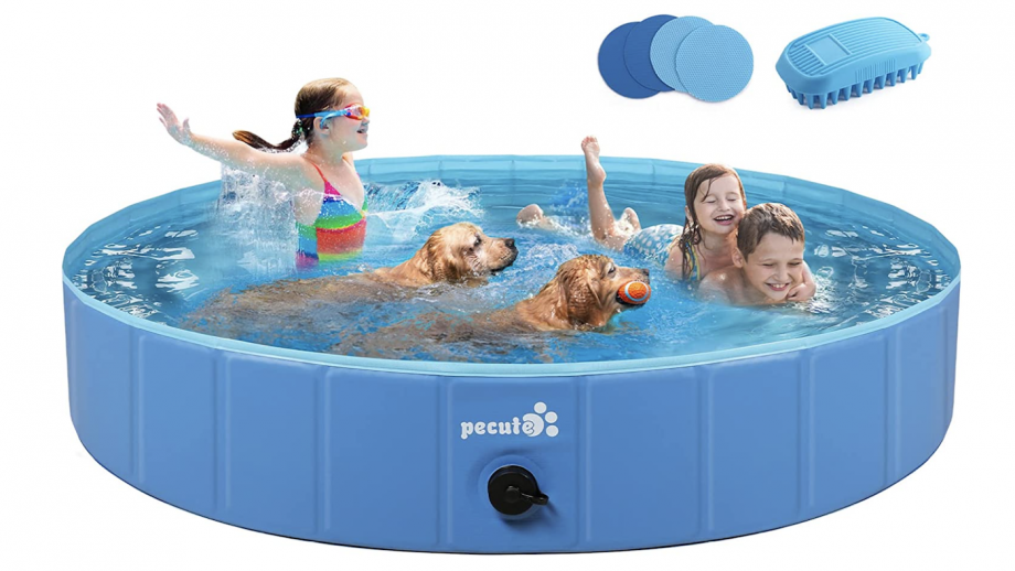 Best dog paddling pool to have fun and stay cool