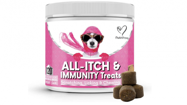 Best itch relief for dogs to soothe and nourish irritated skin
