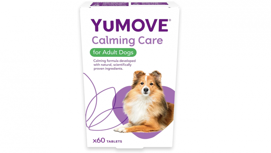 Best calming tablets for dogs to soothe and relax anxious pooches