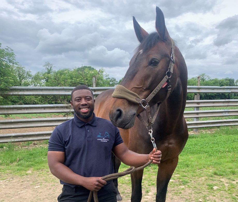 ‘Exciting opportunity’ for real change in our industry - Horse & Hound