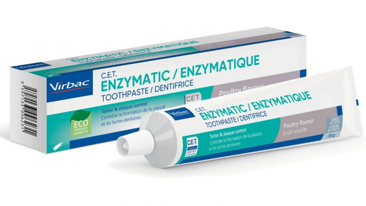 Best toothpastes for dogs to prevent tooth and gum disease