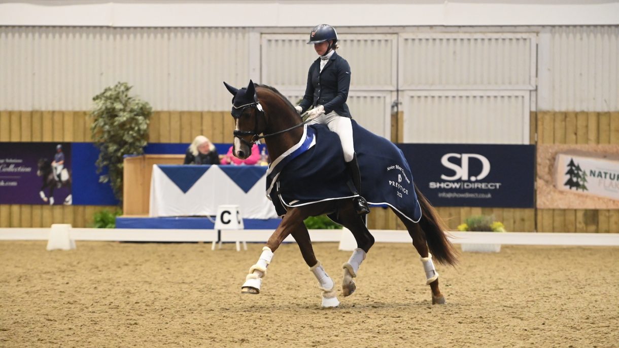 The breeding jigsaw puzzle: 5 factors that determine a good stallion ...