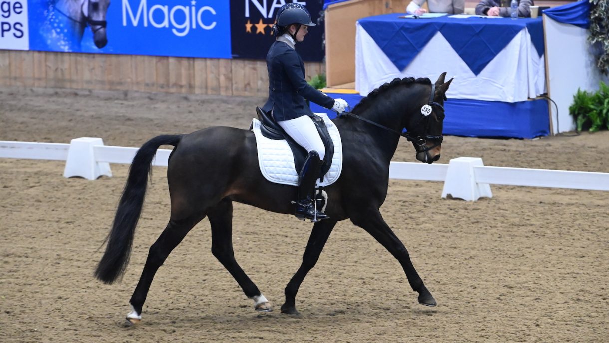 One to watch: Fire Kracka double Winter Dressage Championships winner