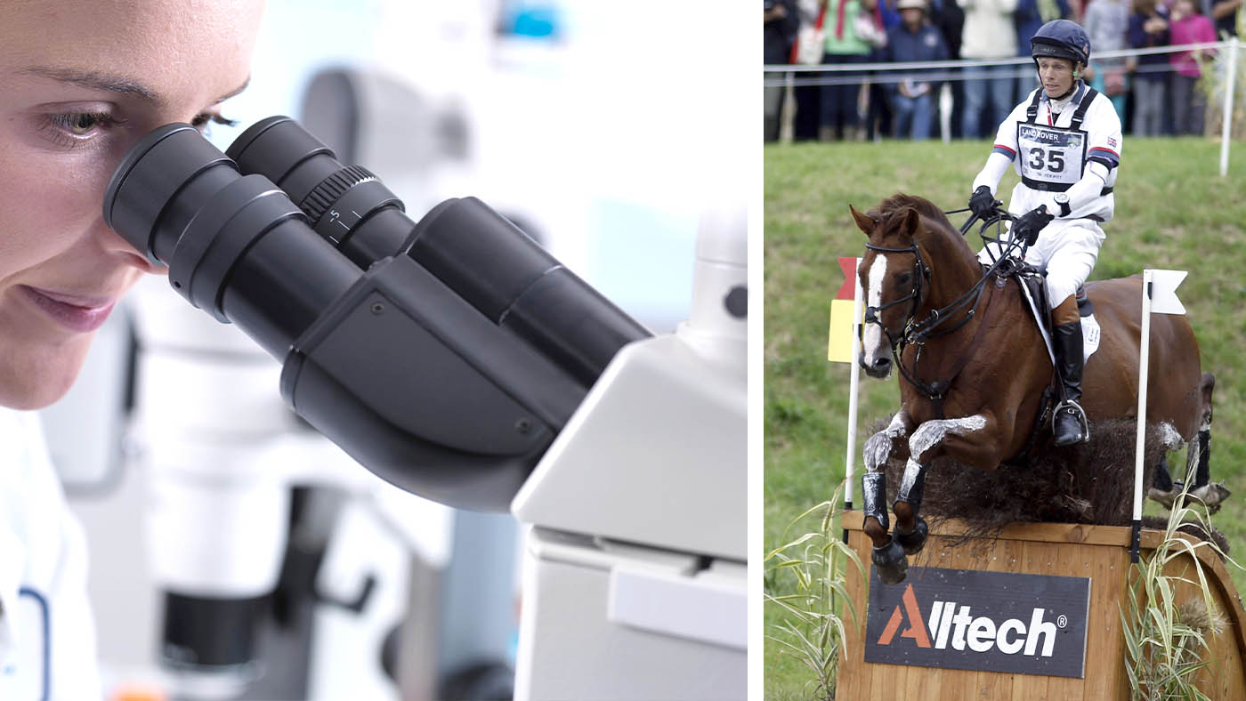 Cloning Horses: Advances, Costs, Legalities, and Famous Clones in ...