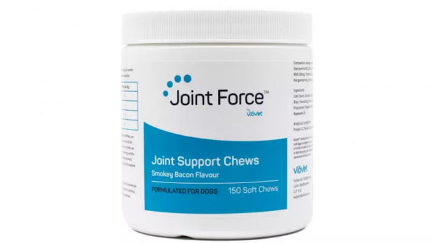 Best joint supplement for dogs: the key ingredients that ward off stiffness