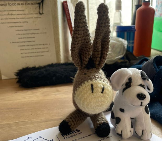 Harry Meade’s groom Jess Errington on the thrill of grooming at Badminton