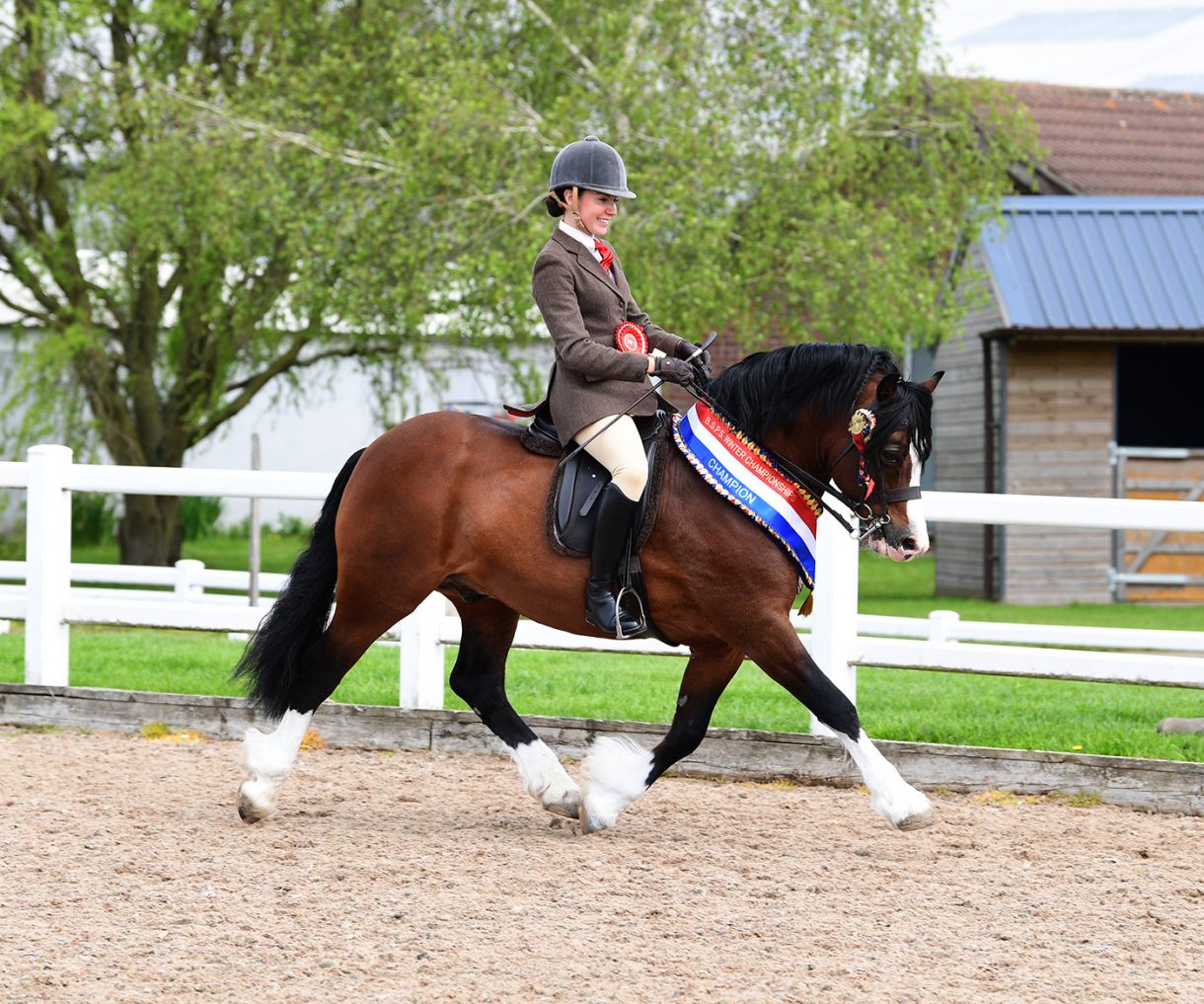 Winners from the 2023 BSPS winter championships - Horse & Hound