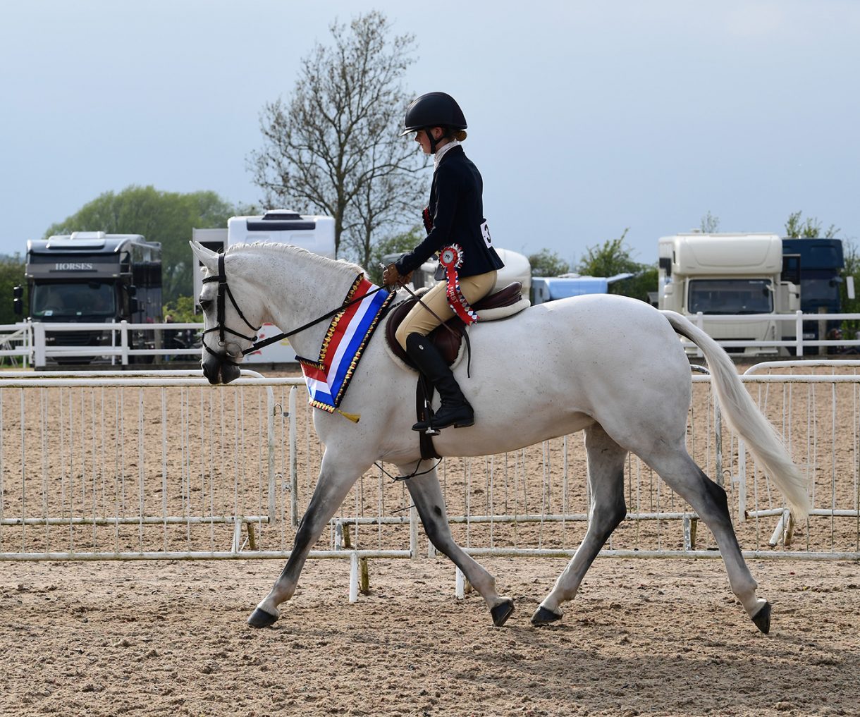 Winners from the 2023 BSPS winter championships - Horse & Hound