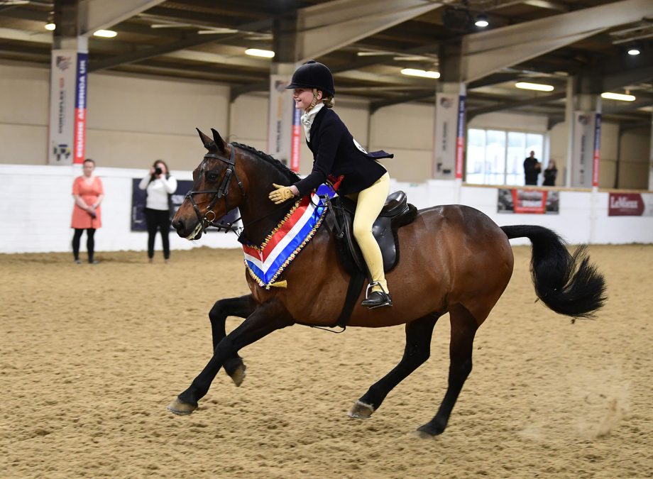 Winners from the 2023 BSPS winter championships - Horse & Hound
