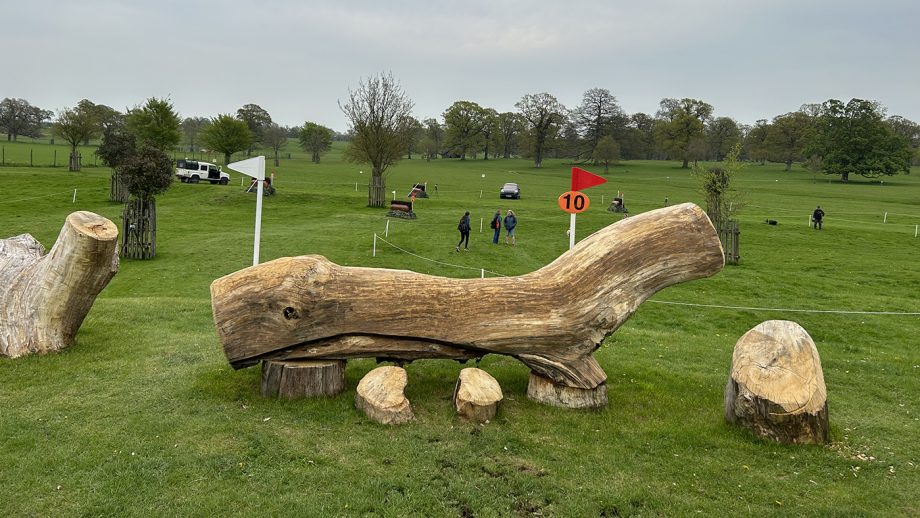 Badminton’s grassroots championships: the BE90 cross-country course