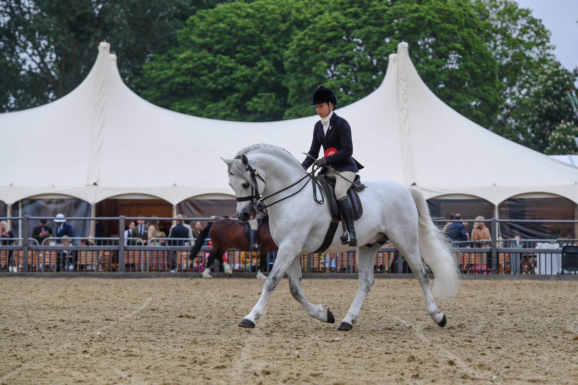 Meet the winner of the first ever ridden bronze medals for Shetlands