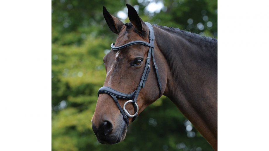 Best anatomical bridles for all budgets | Horse & Hound
