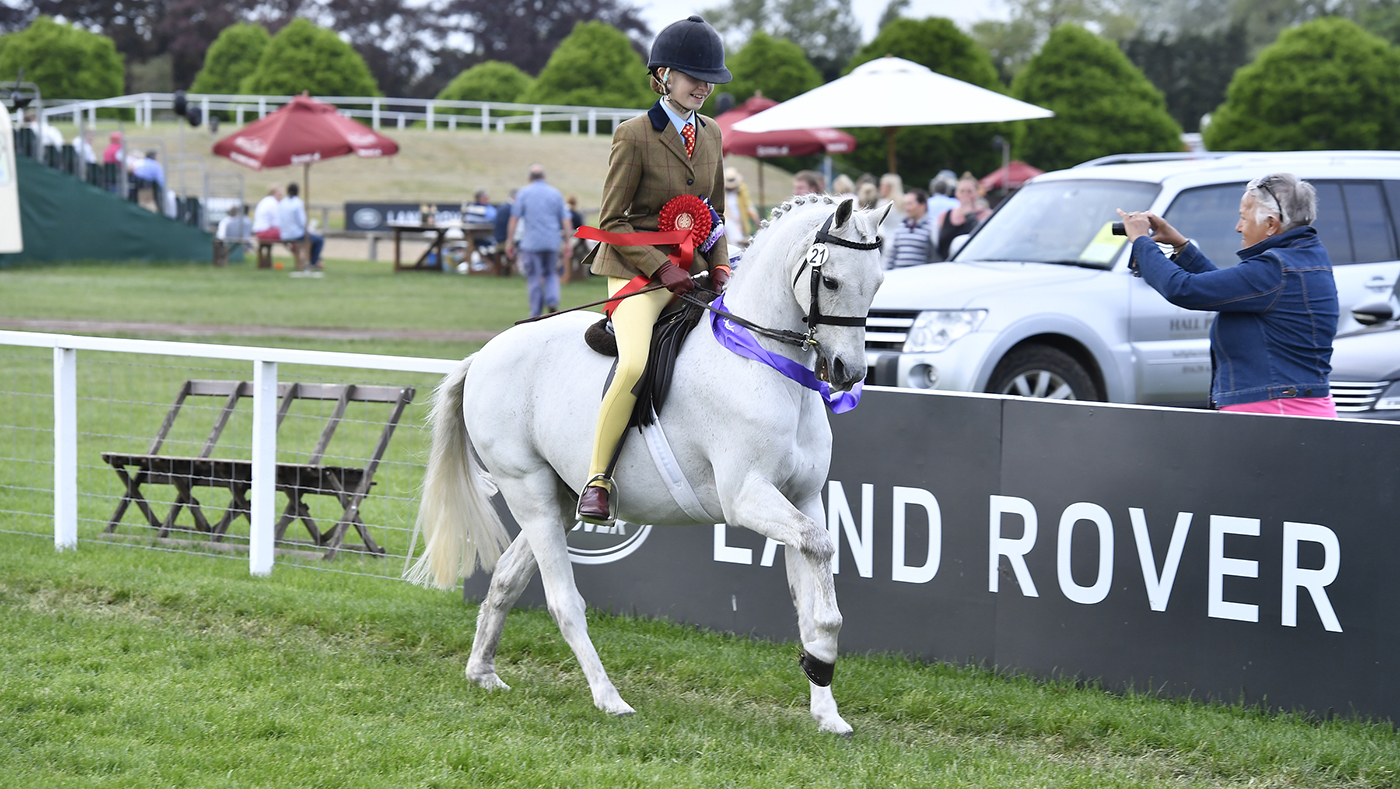 Cottrell Riverdance has been put down aged 26 - Horse & Hound