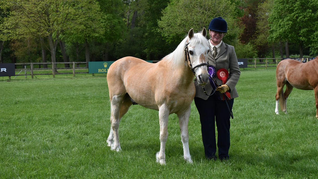 2023 Royal Windsor in-hand senior championship results - Horse & Hound