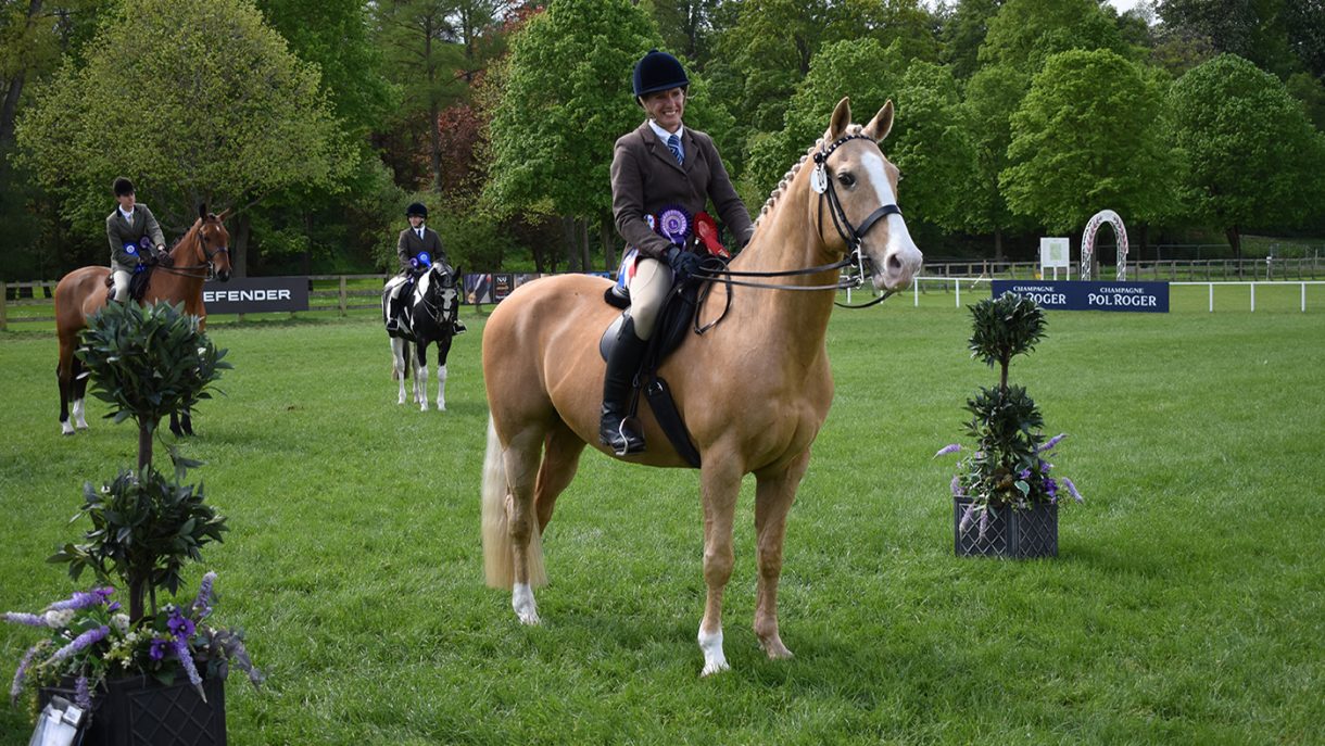 Jayne Ross: five horses who made her famous - Horse & Hound