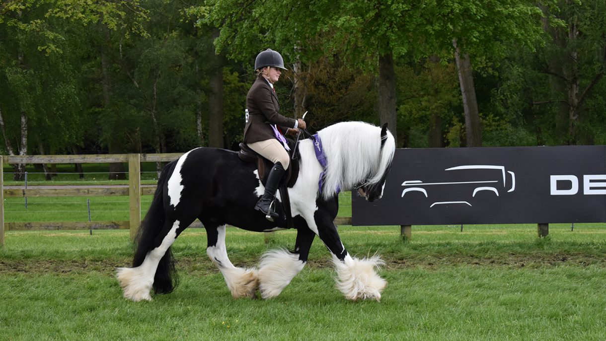 2023 Royal Windsor ridden senior pony championship - Horse & Hound