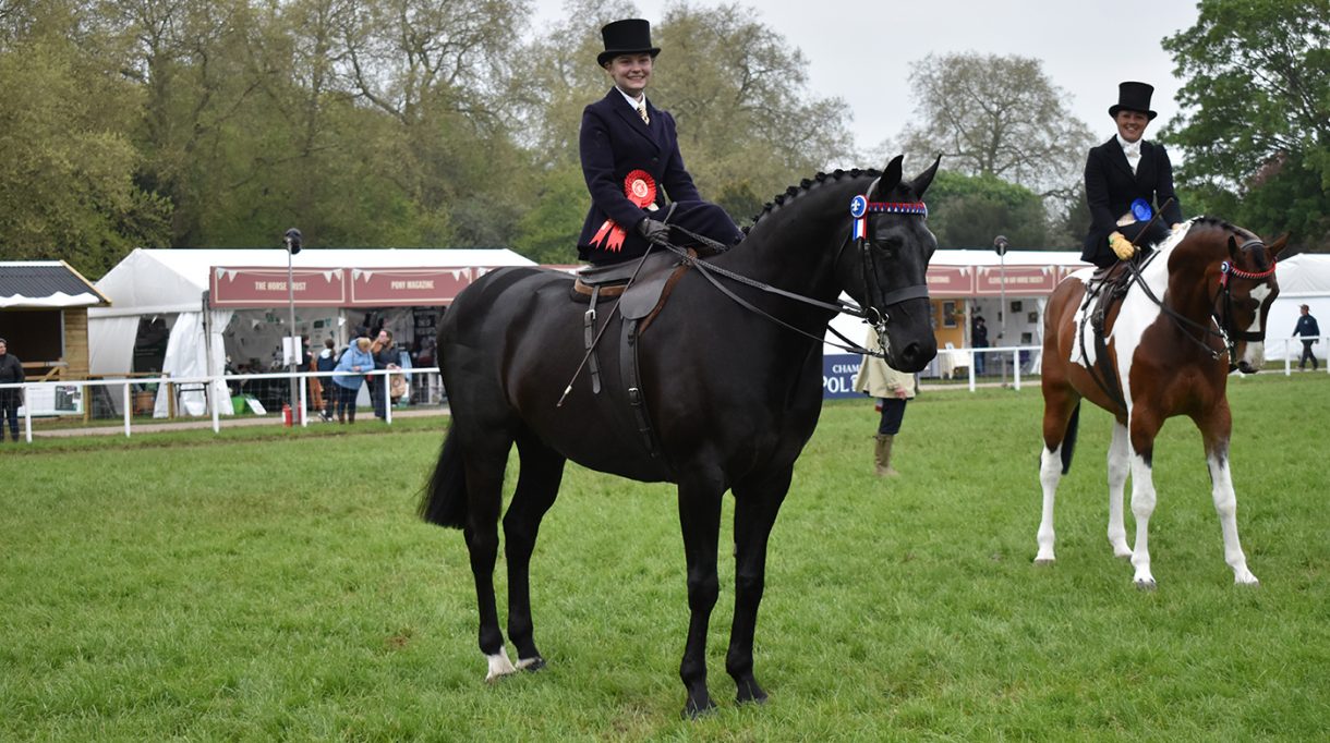 2023 Royal Windsor ladies’ show horse - Horse & Hound