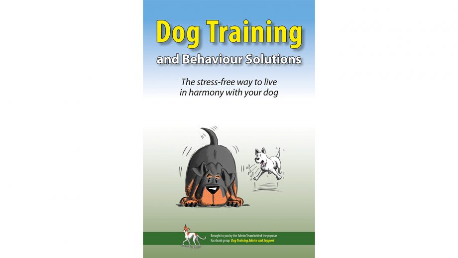 Best dog training books: puppies, separation anxiety and other issues