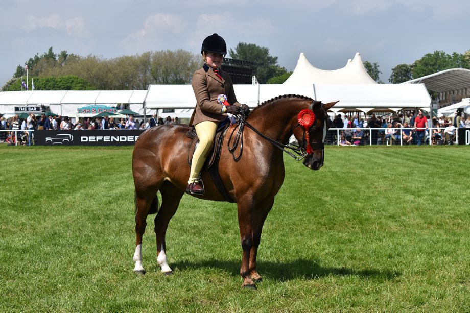 2023 Royal Windsor Horse Show winners - Horse & Hound