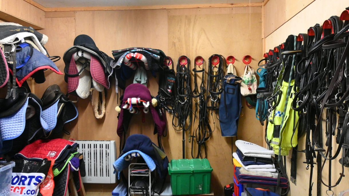 Confusion over FEI tack approval processes – as bridle designed for ...