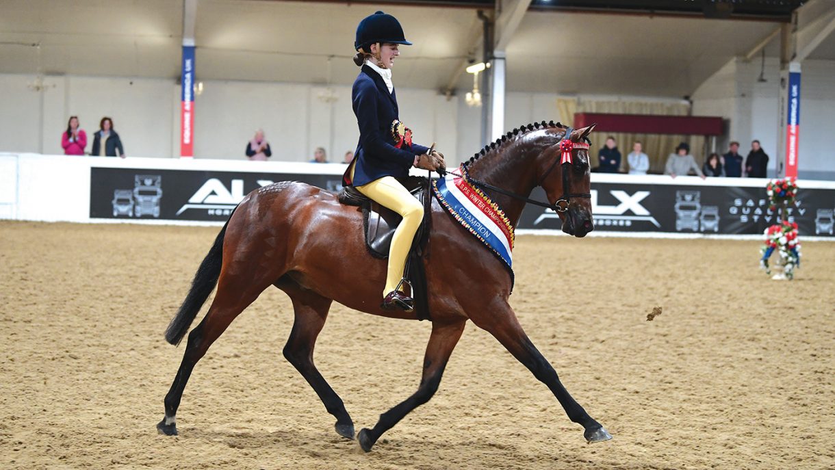 BSPS / British Show Pony Society latest news | Horse & Hound