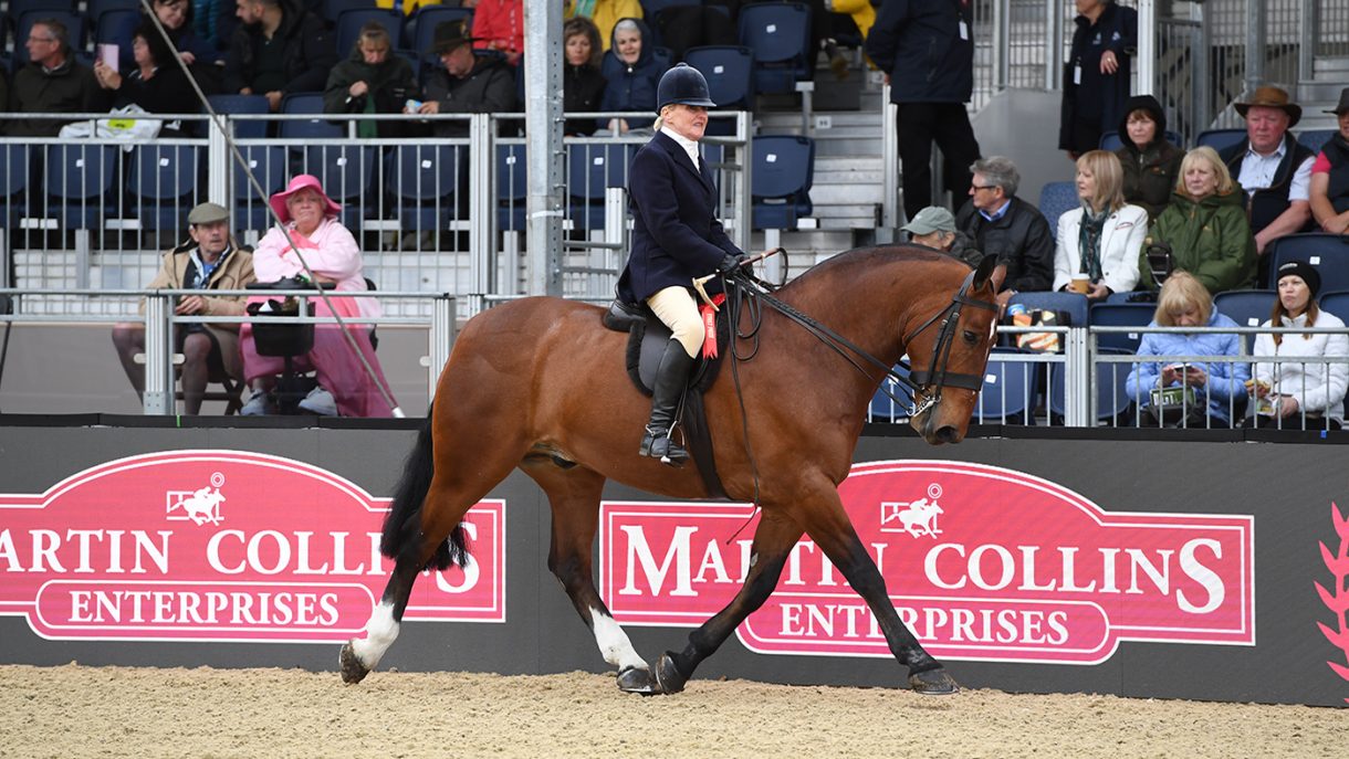 2023 Royal Windsor amateur cob championship - Horse & Hound