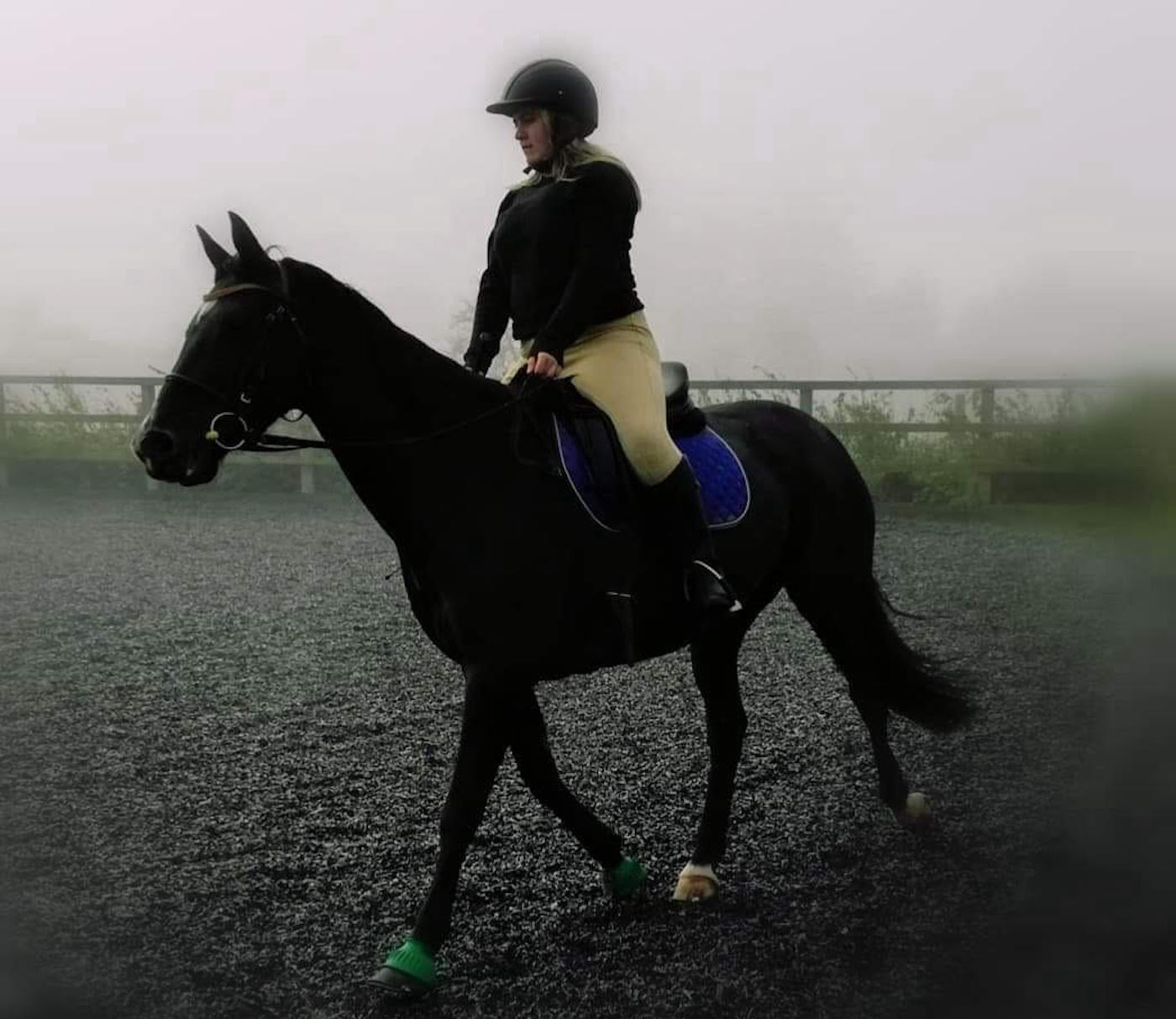 ‘The best and worst years of my life’: owner of mare lost to motor ...