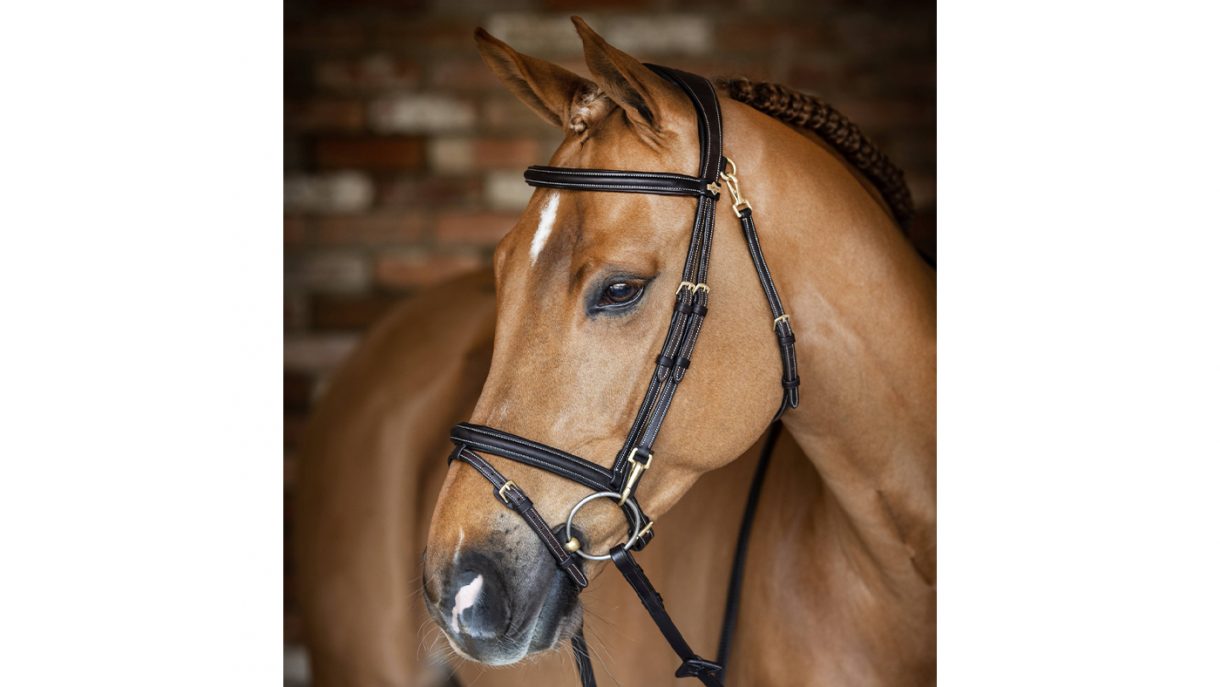 Best flash bridles for everyday riding and competition | Horse & Hound